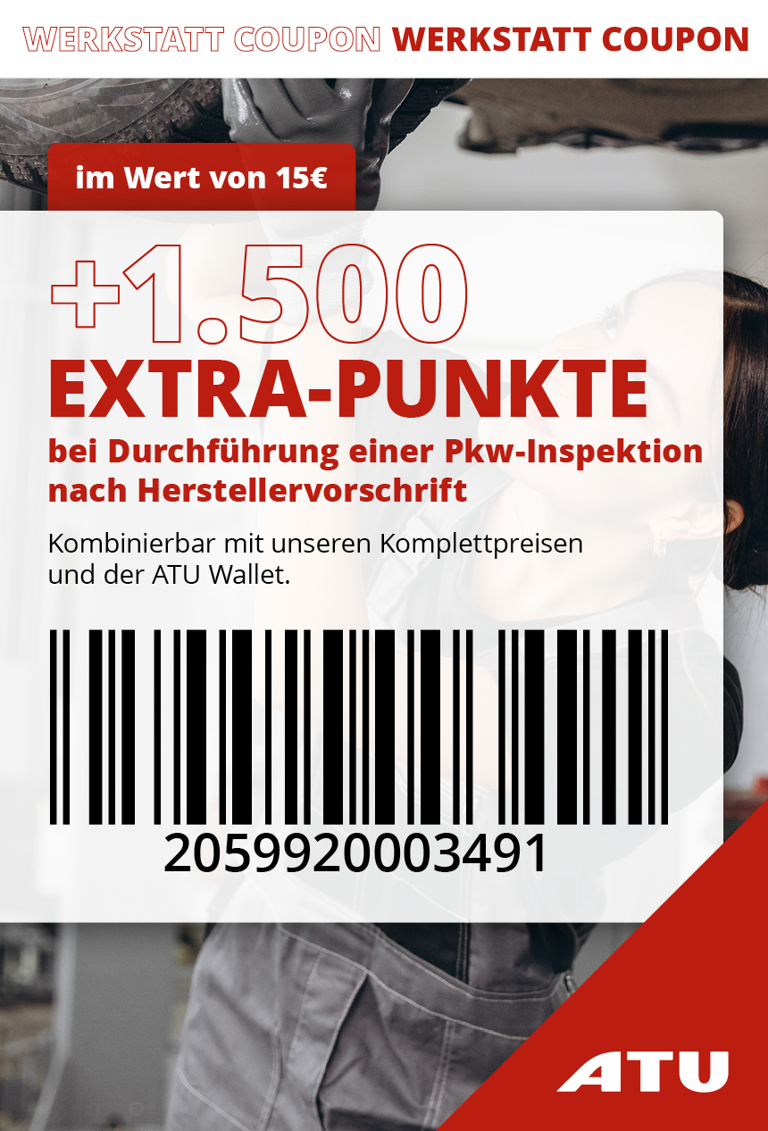 Atu Kosten Inspektion
