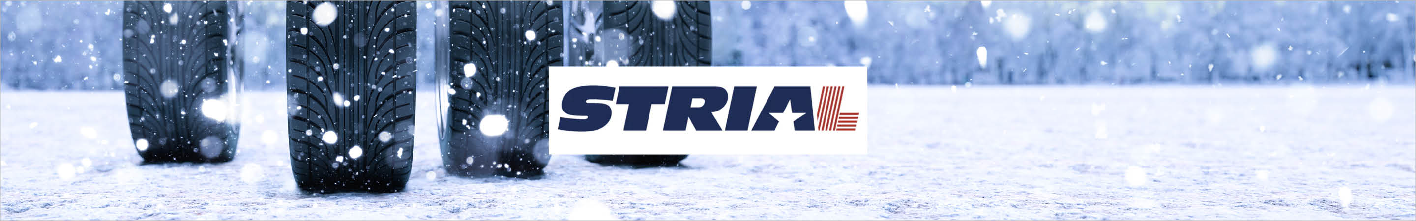 Strial Winterreifen jetzt billig kaufen - ATU