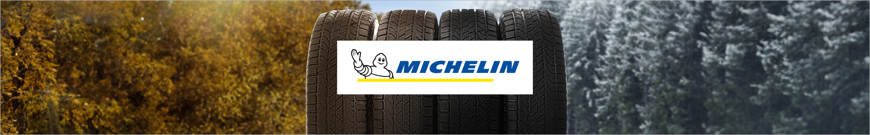 Michelin Ganzjahresreifen jetzt günstig kaufen - ATU