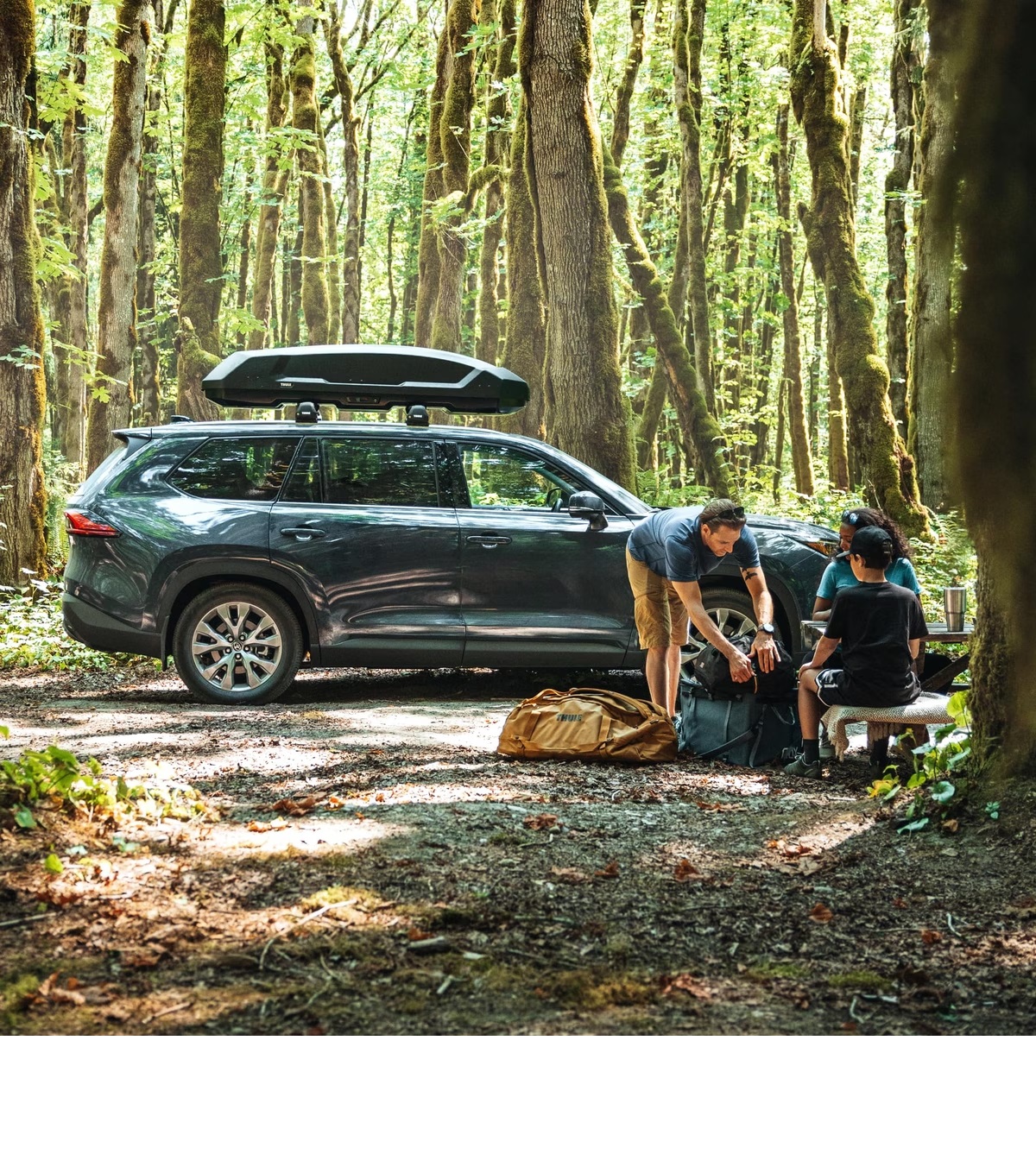 Thule Dachbox Force 3 XL, schwarz, 500 L - ATU